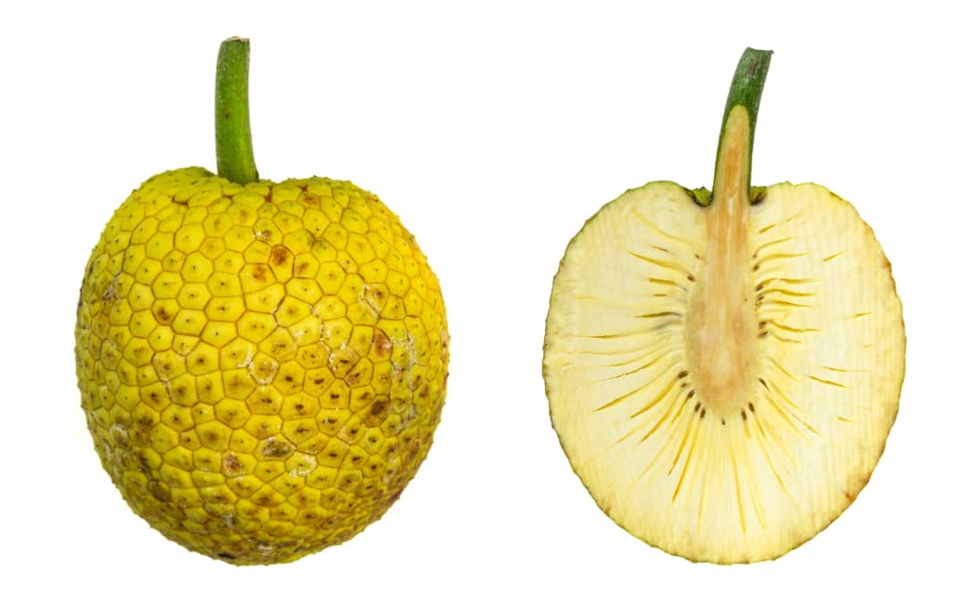 The 11 Largest Fruits in the World